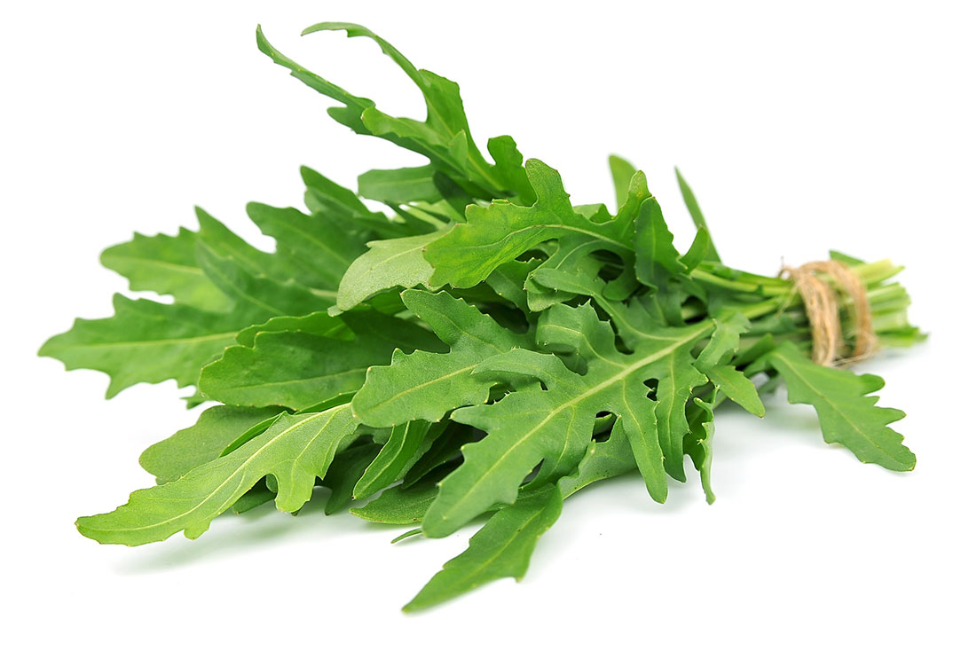 Rukola - zdrava raketna solata na našem krožniku | Bodi eko