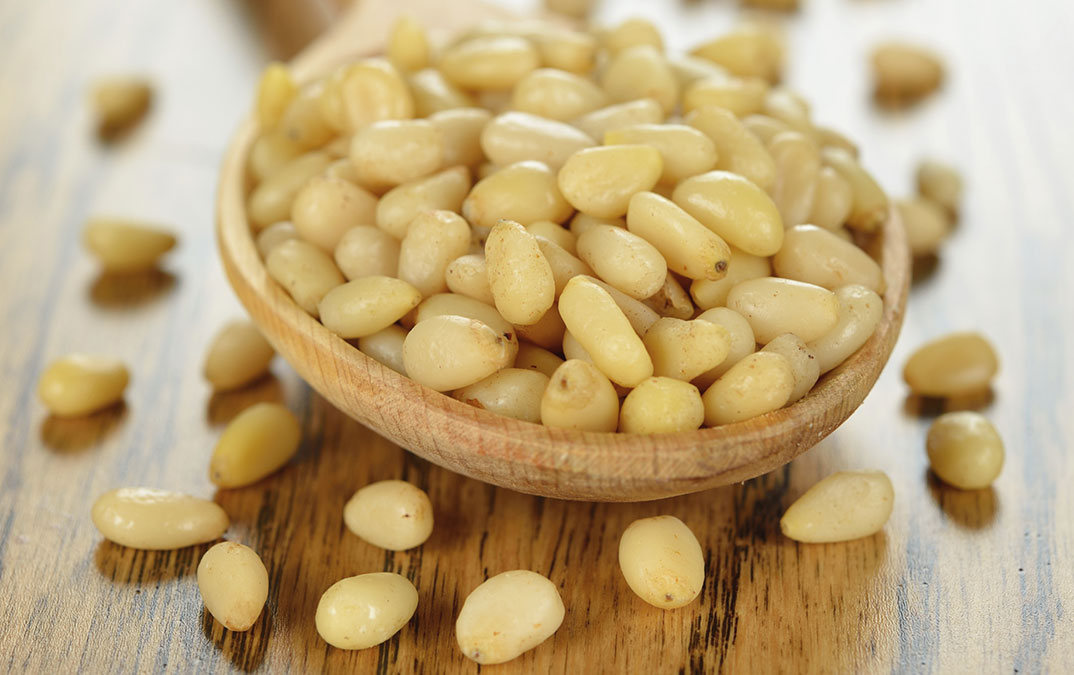 Zakaj so Pinjole tako zdrave in kje jih lahko uporabimo | Bodi eko