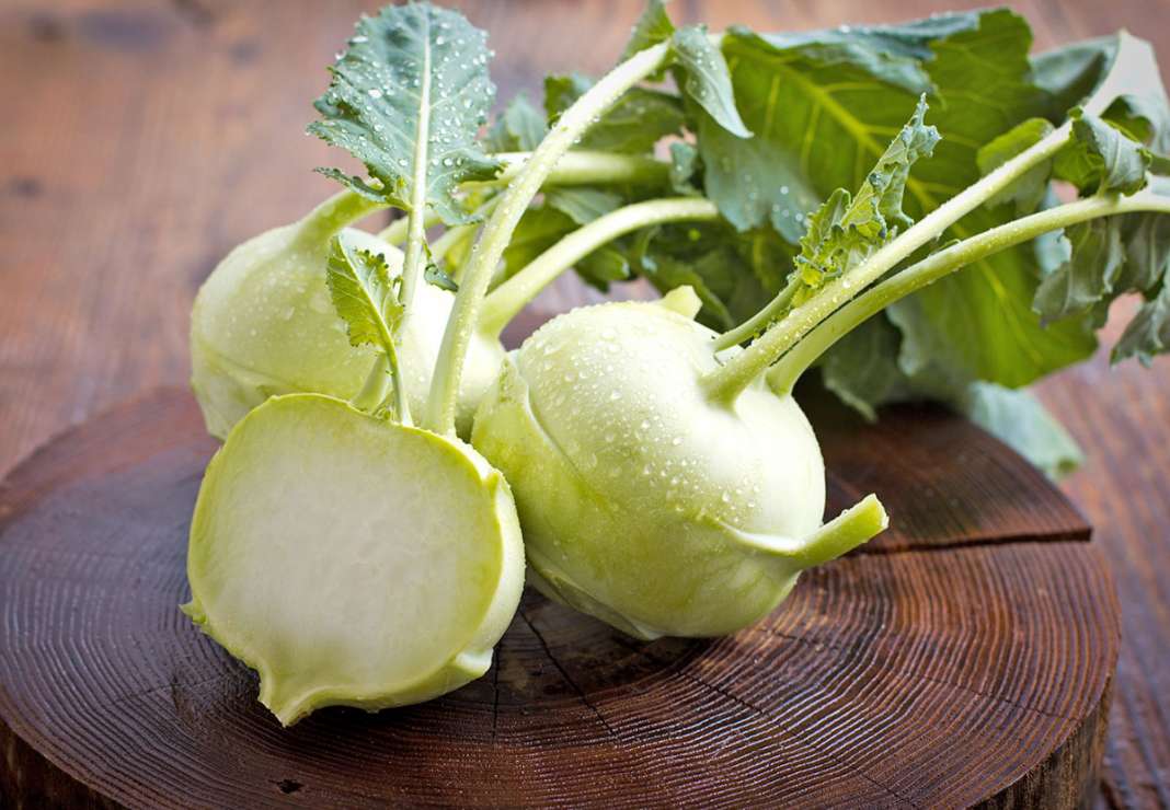 Koleraba: prezrta zakladnica za naše zdravje | Bodi eko