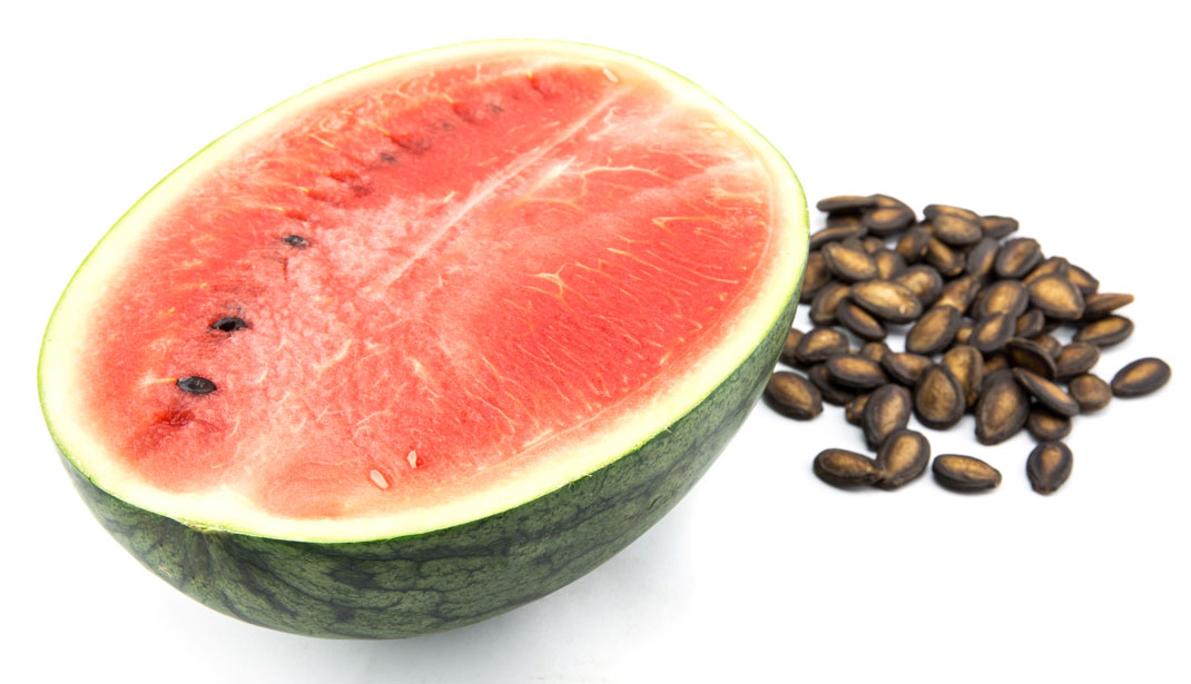 Ne zavrzite semen lubenice – odlična so za vašo kožo, lase in zdravje ...