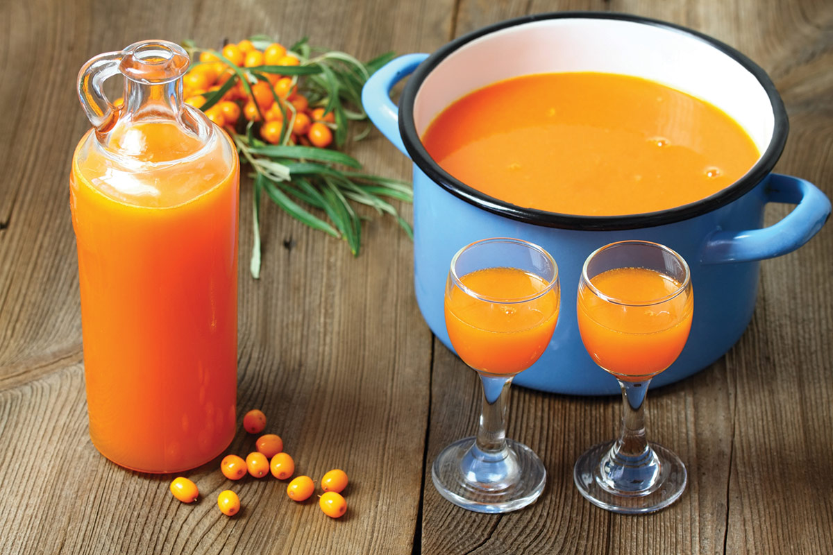 Rakitovec – rastlina z mnogo zdravilnimi učinki | Bodi eko